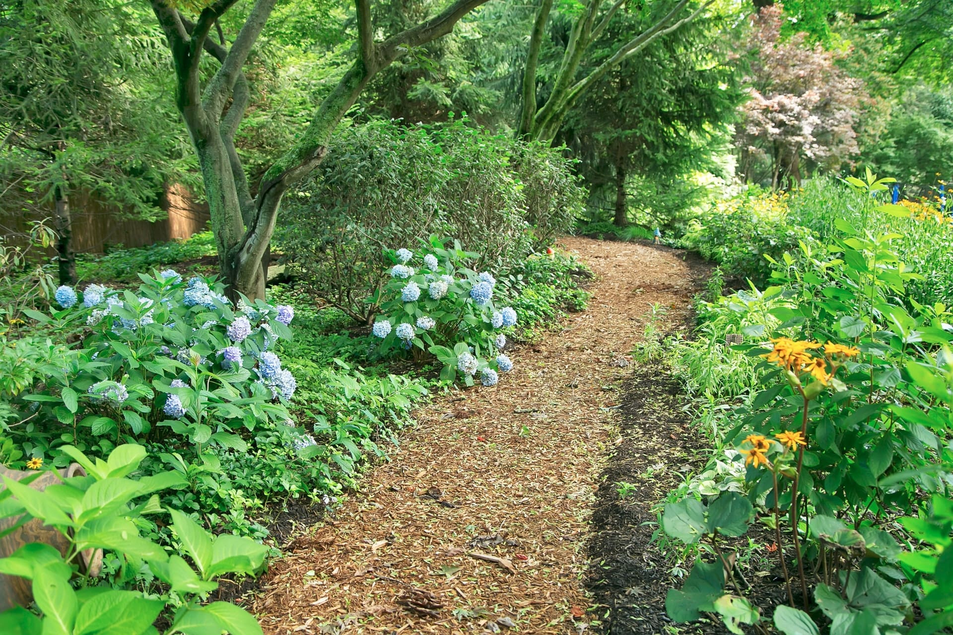 Green Jay Landscape Design | Rye, NY | Ecological Landscaping
