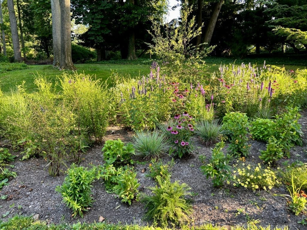 GJL Designs Pollinator Garden with Rye High School Students at ...