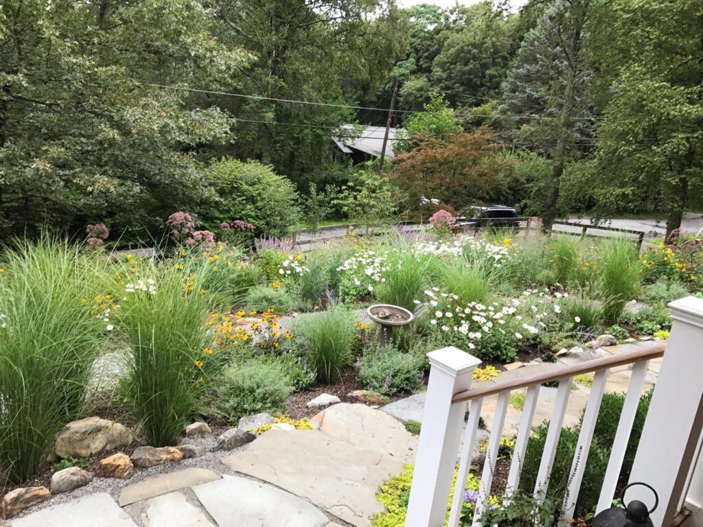 Native Plant Landscaping Trends for 2023 - Green Jay Landscape Design