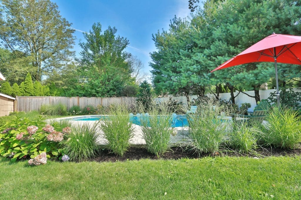 Summer Poolscape with Native Plants| Landscape Design in Mamaroneck, NY ...