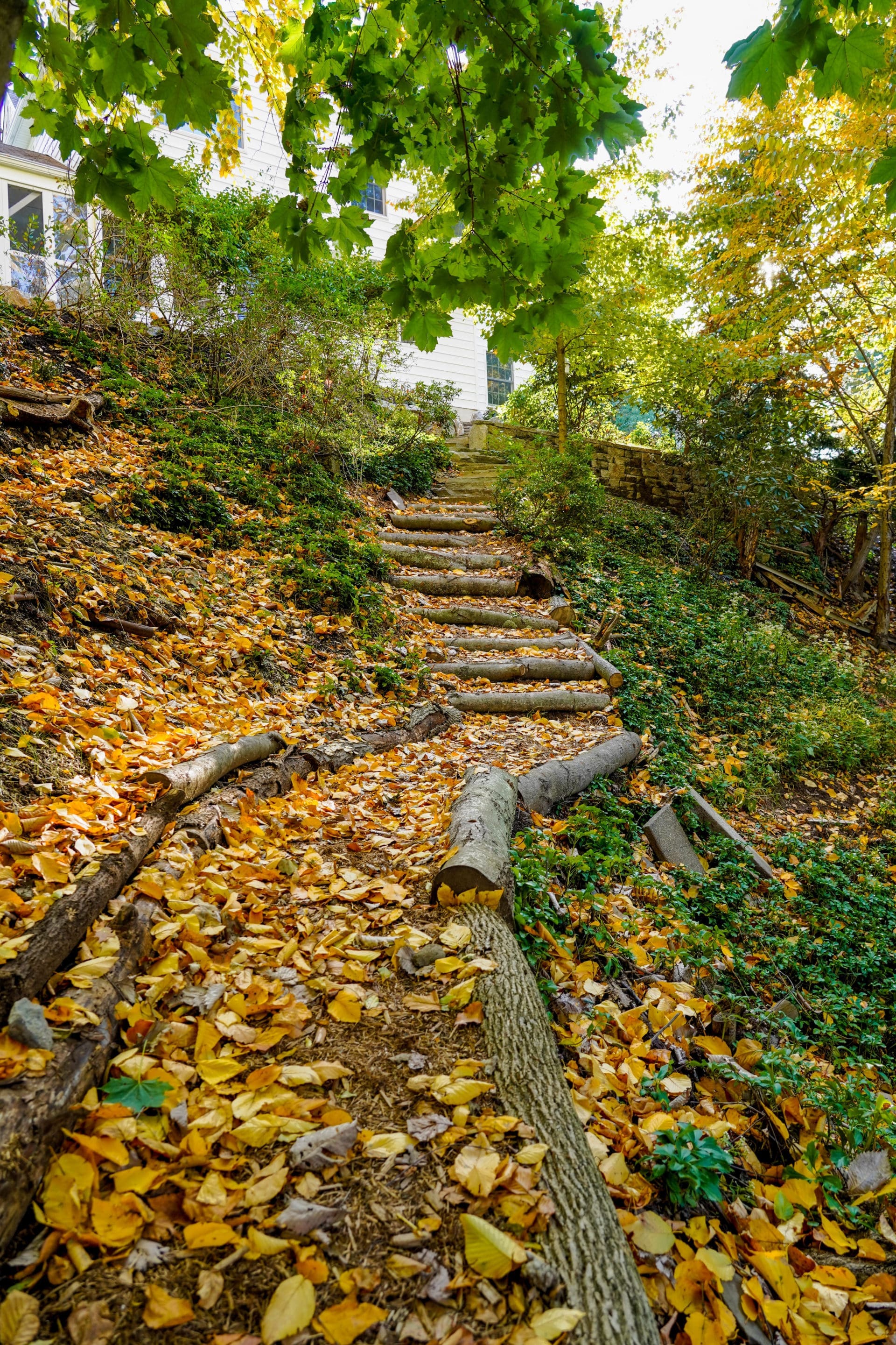 Landscape Design for Steep Slope Stabilization & Erosion Control | Old ...