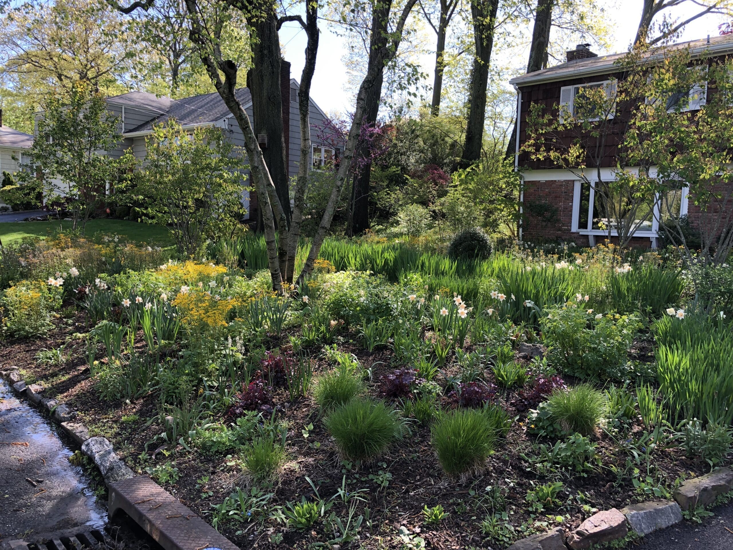 Native Plant Landscaping Trends for 2023 - Green Jay Landscape Design