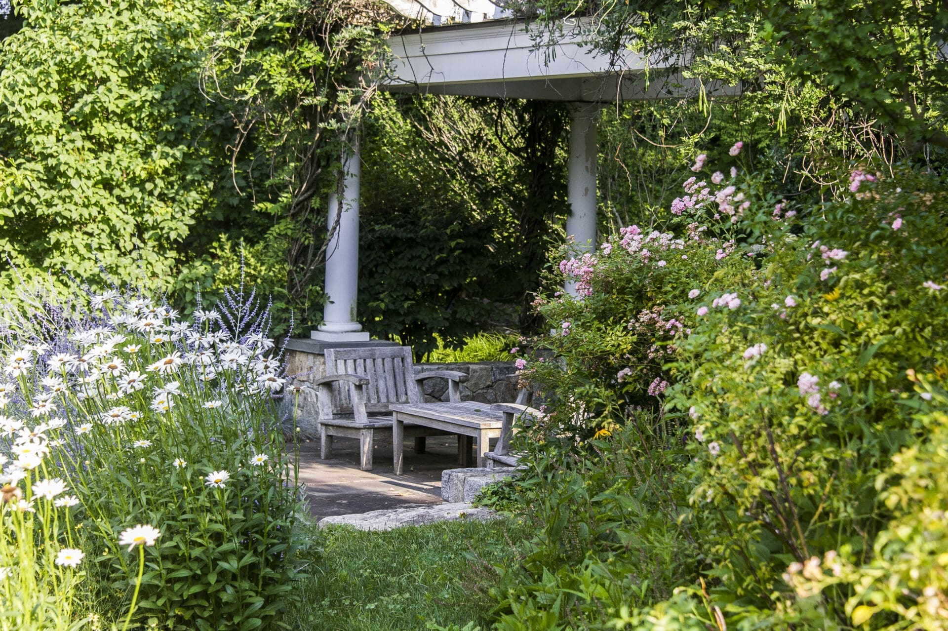 Formal Landscape Architecture Receives a Native, Naturalistic Planting ...