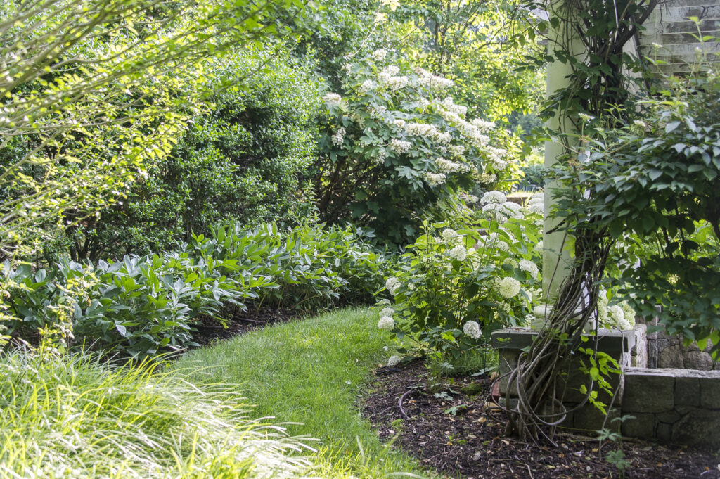 Formal Landscape Architecture Receives a Native, Naturalistic Planting ...