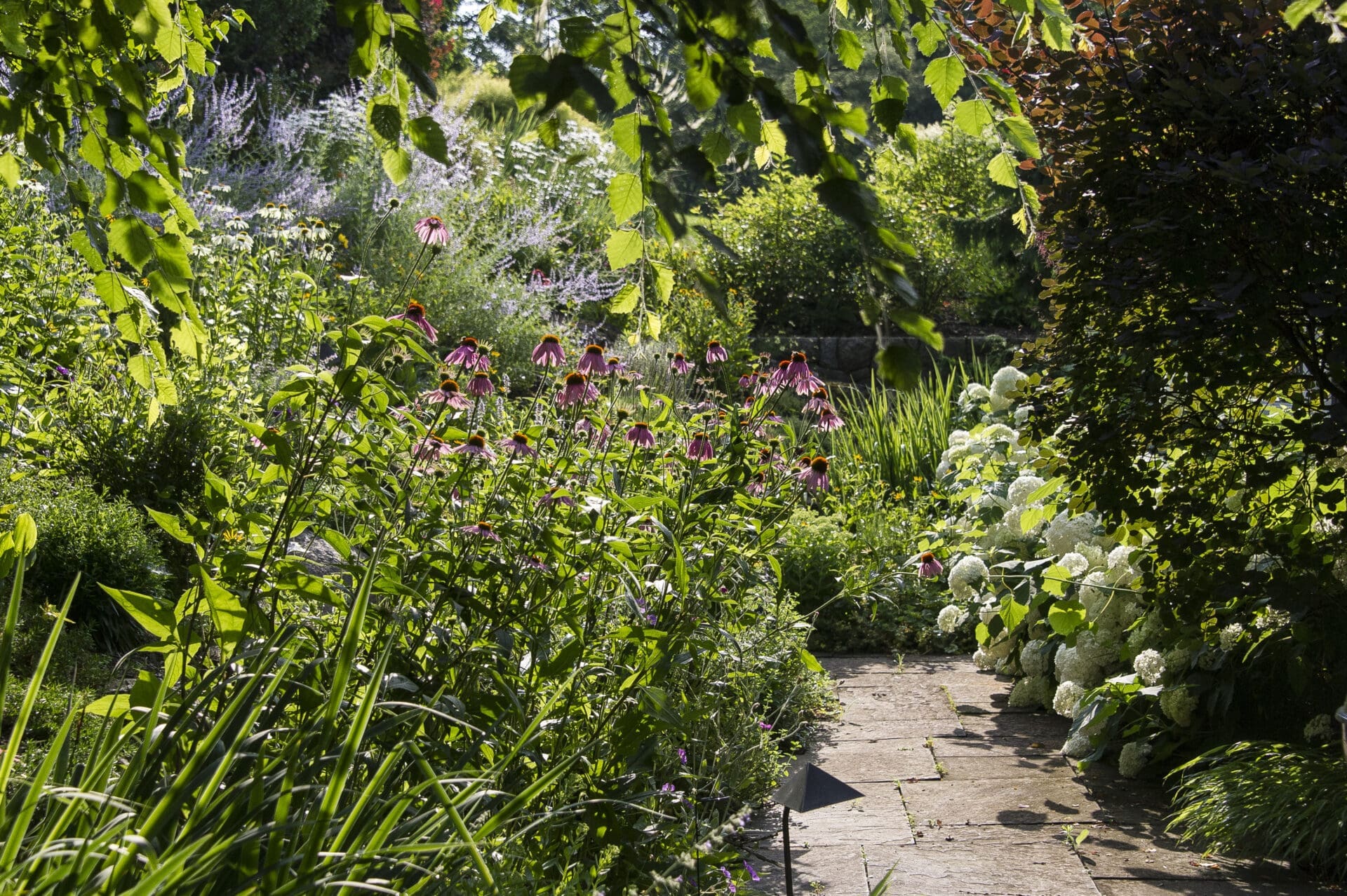 Formal Landscape Architecture Receives a Native, Naturalistic Planting ...