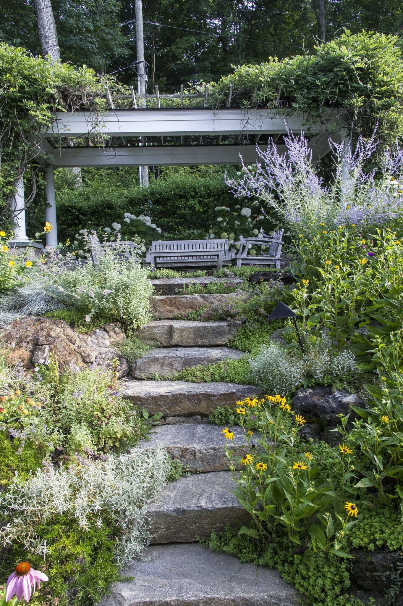 Formal Landscape Architecture Receives a Native, Naturalistic Planting ...