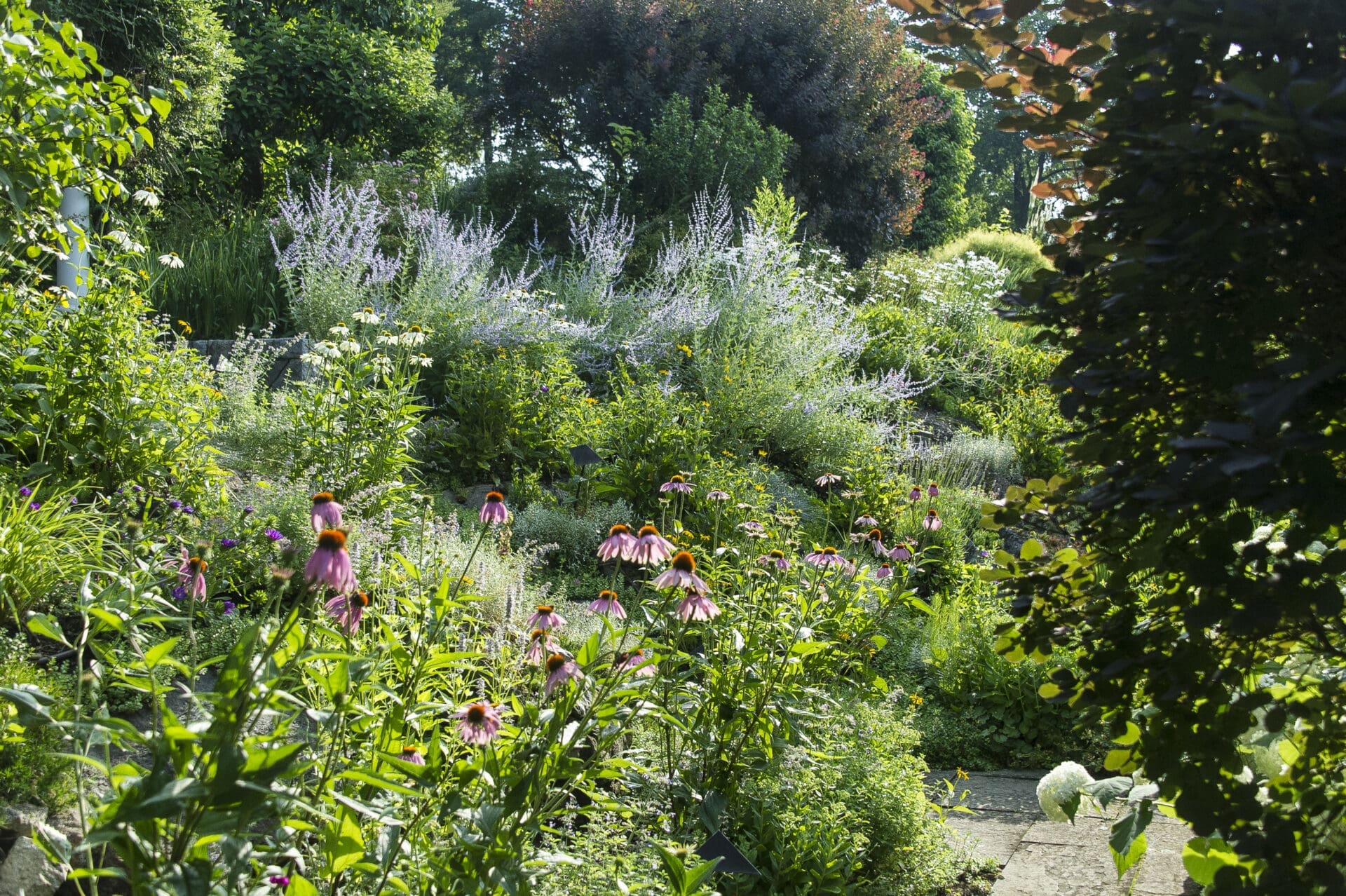 Formal Landscape Architecture Receives a Native, Naturalistic Planting ...