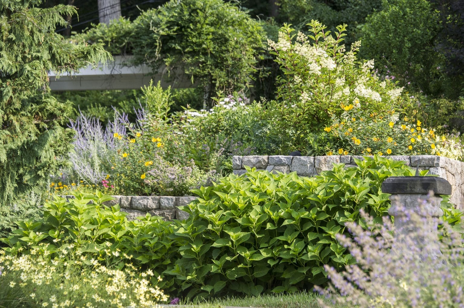 Formal Landscape Architecture Receives a Native, Naturalistic Planting ...