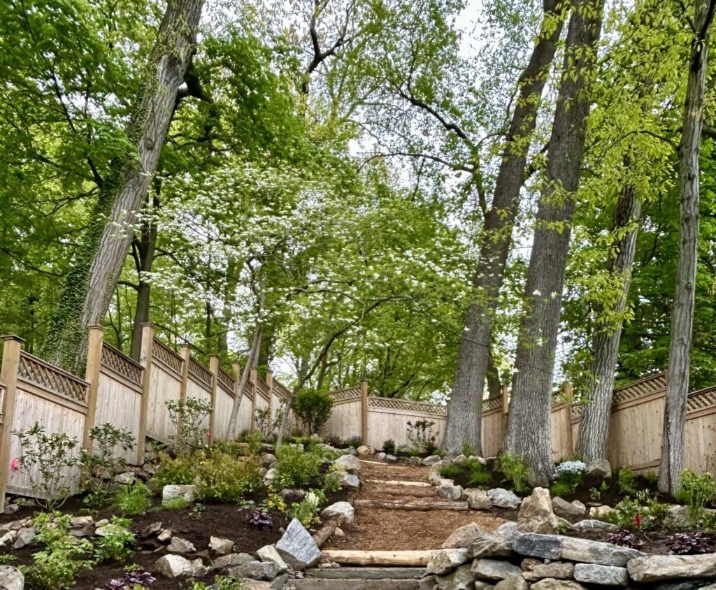 GJLD’s Native Plant Recommendations for Shady Sites | New York ...