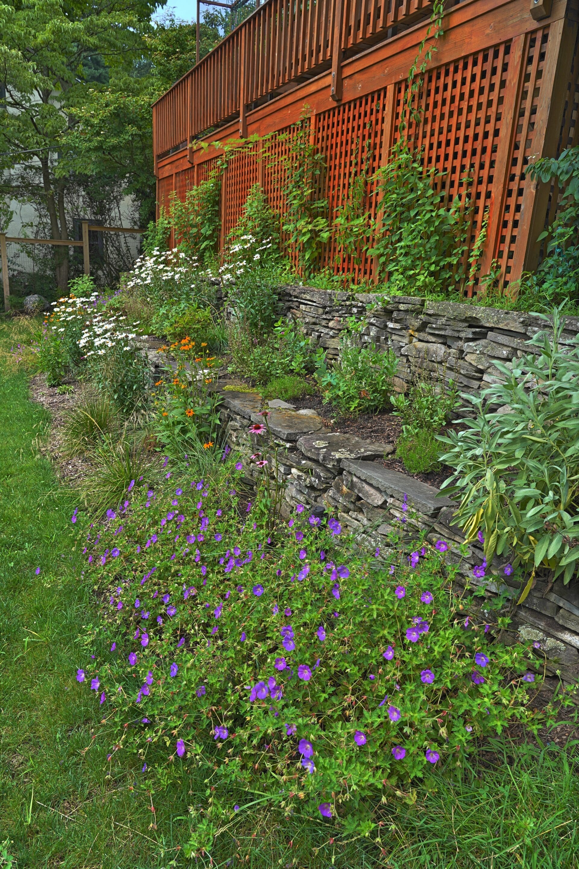 Landscape Design & Installation ft. Lawn Lift, Foundation Plantings ...