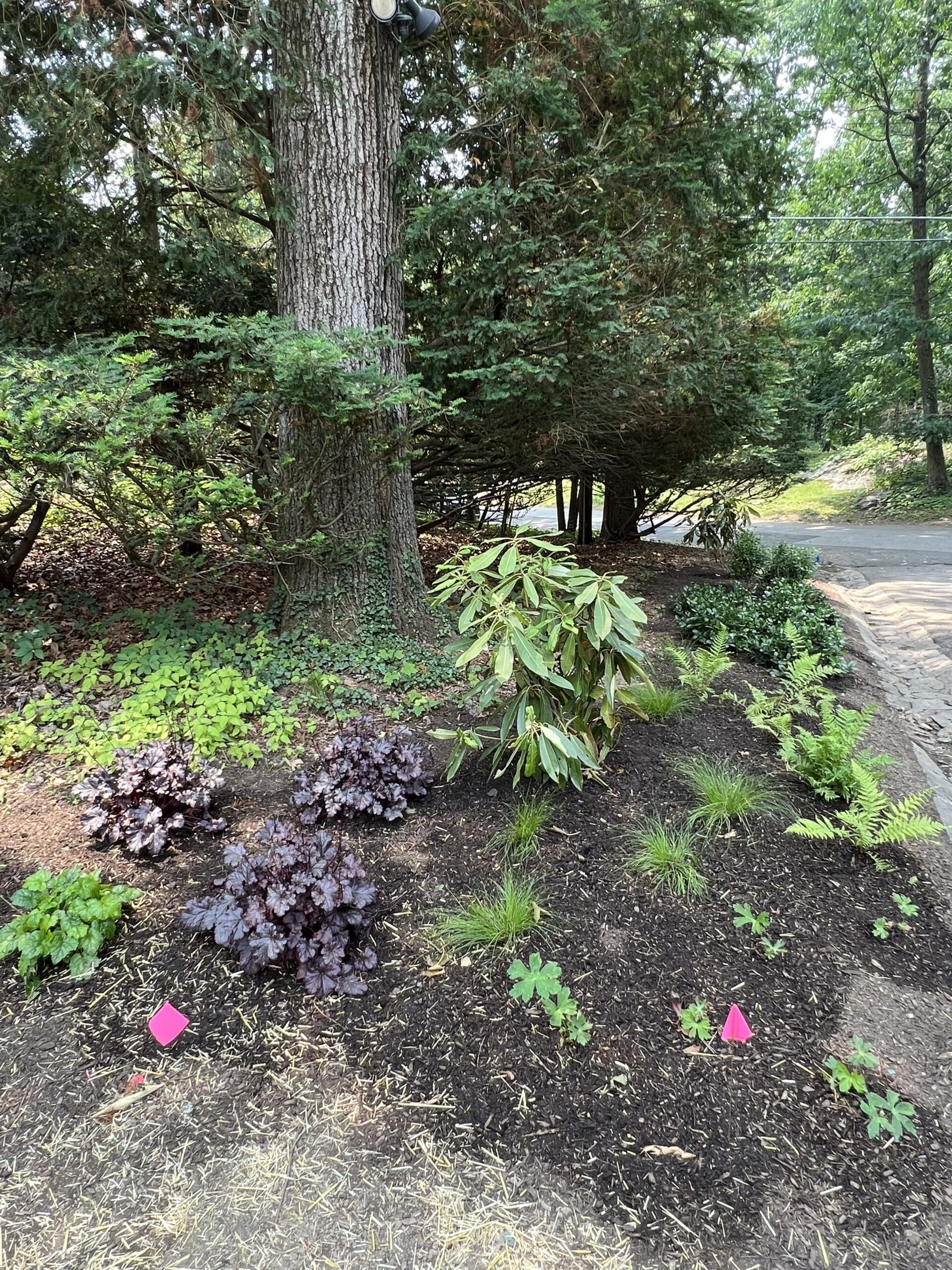 Whimsically Wild Woodland | Landscape Design in Briarcliff Manor, NY ...