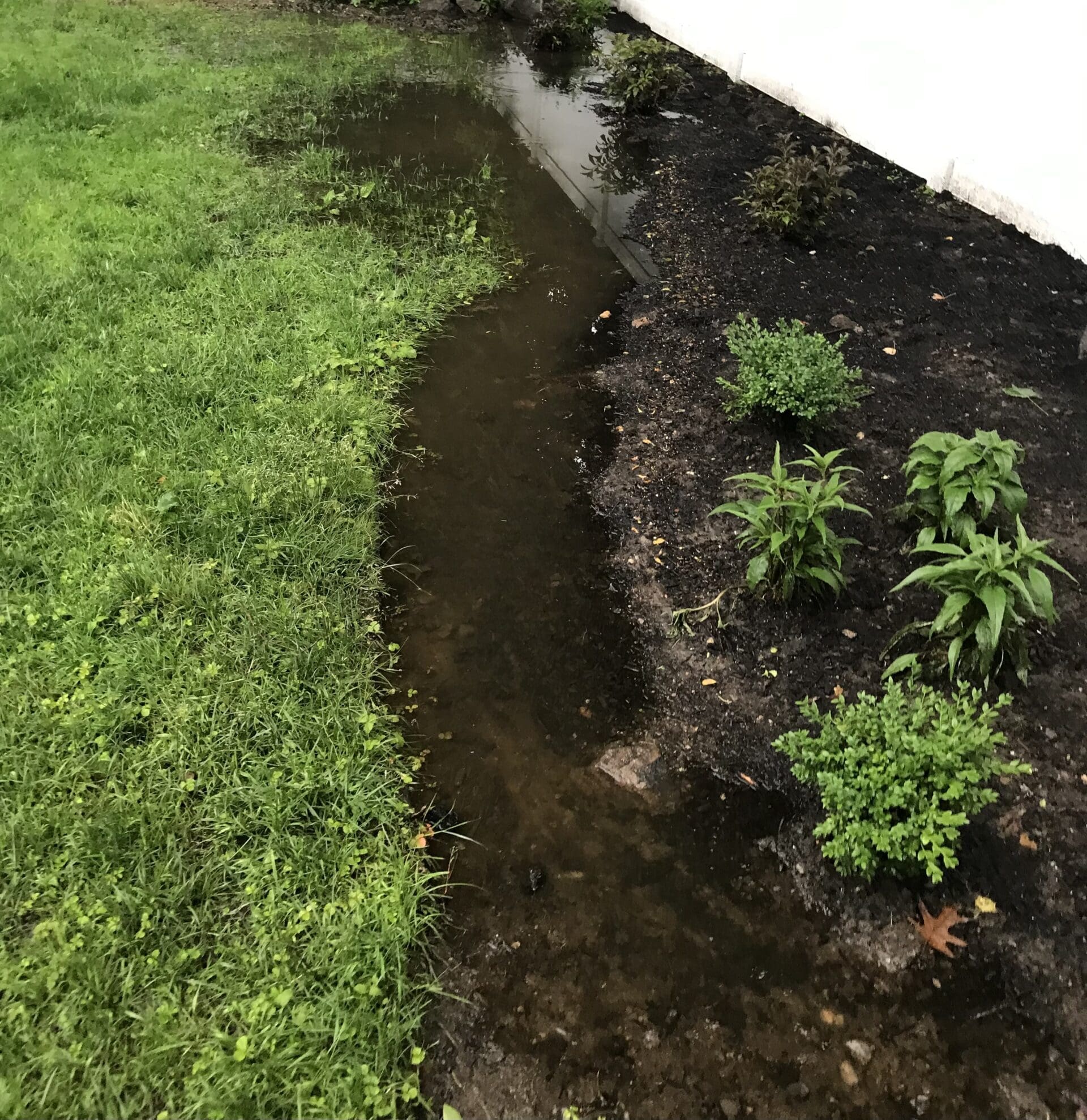 Landscape Drainage and Grading to Prevent Flooding and Intrusion