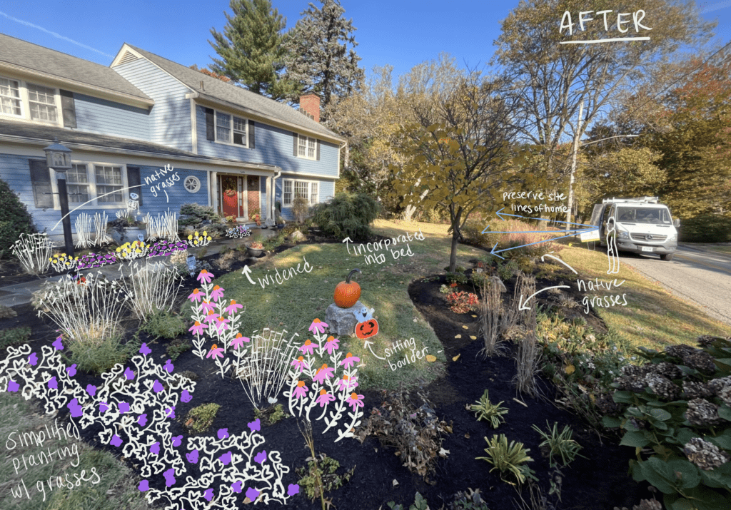 Proportion & Cohesion in a Front Yard Native Plant Landscape ...
